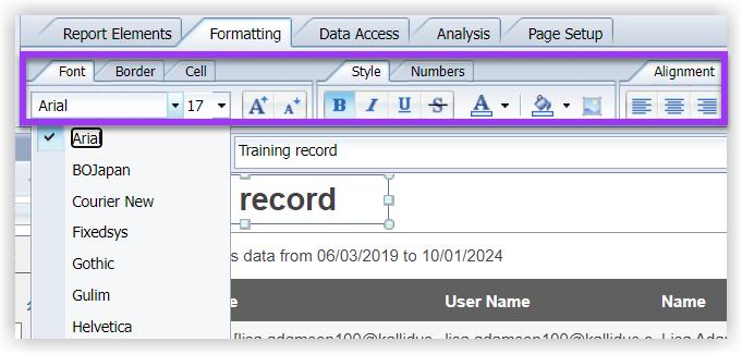 Learn Edit Text Font In A Business Objects Reports Kallidus 4578