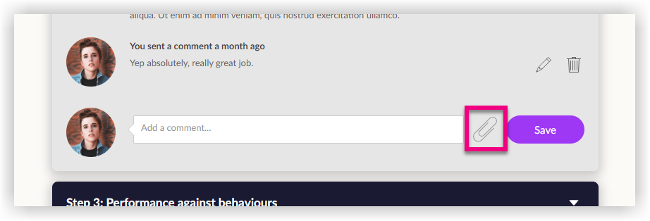 Perform - What file types and sizes can I attach to development ...